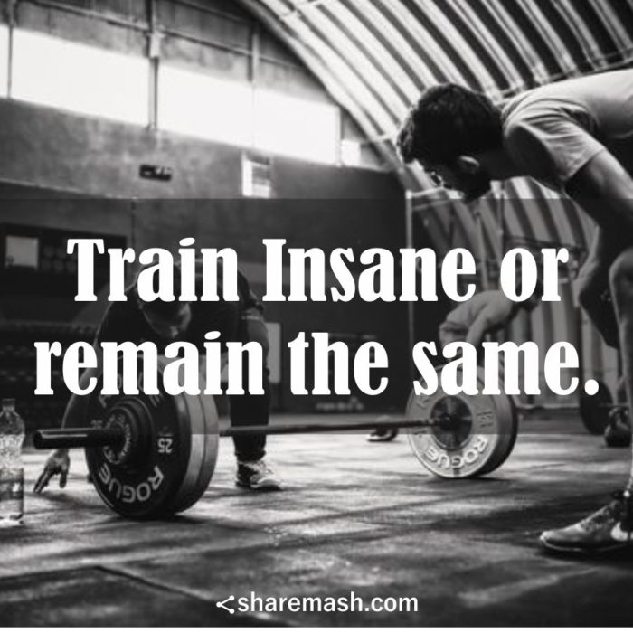 300+ Gym Status | Gym Captions | Gym Quotes [for Gym Motivation ...