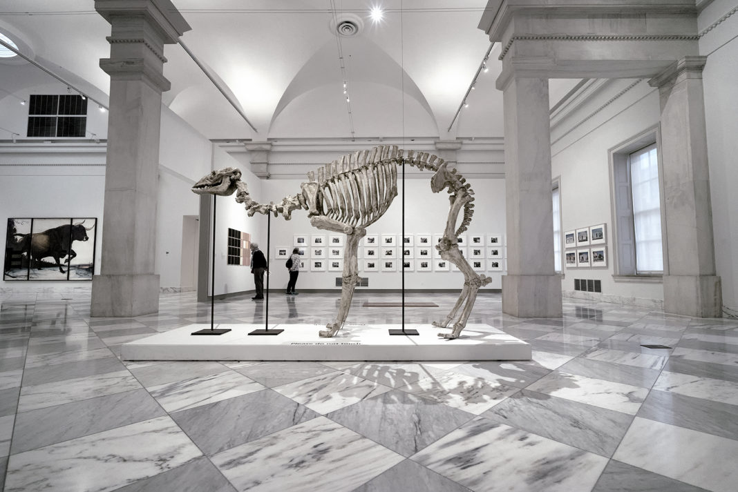 Best Interactive Museums in Washington D.C. 2024 - PMCAOnline