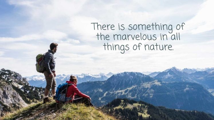 200 + Best Nature Status, Captions, Quotes for Instagram & FB (2024 ...