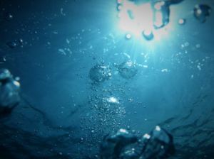 Negative Effects of Heavy Metals in Water - PMCAOnline