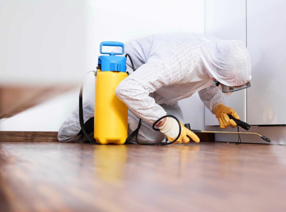 What Should a Pest Control Program Include? - PMCAOnline