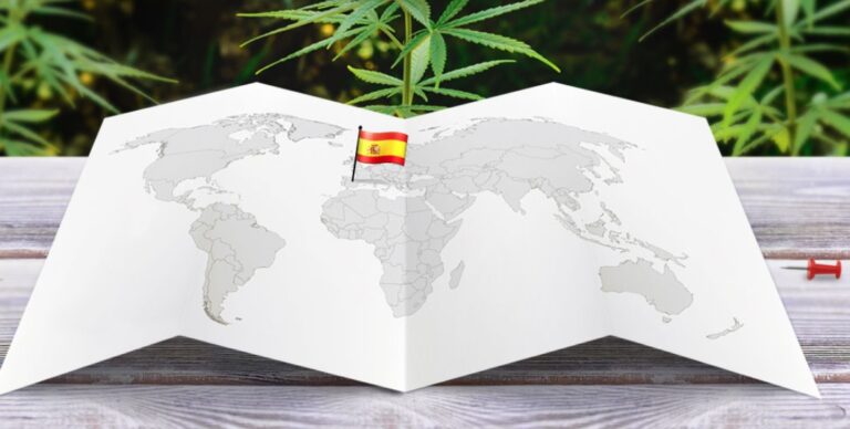 What Effect Can the Legalization of Marijuana in Spain Have on the ...