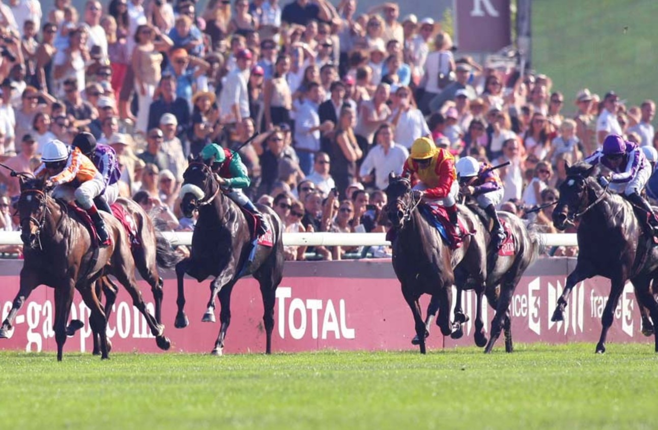 Horse Racing Events to Look Forward to in 2024 - PMCAOnline