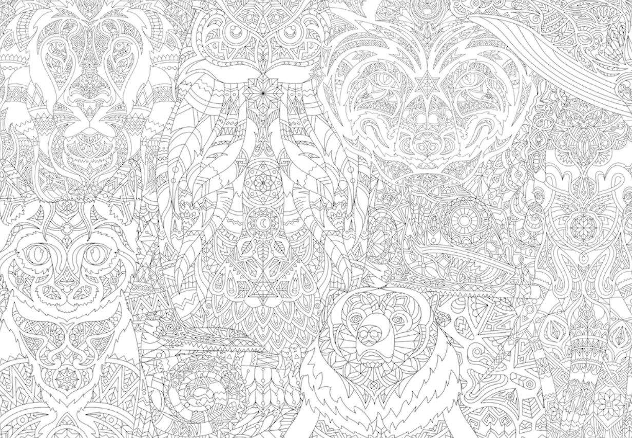 How to Design and Print a Coloring Book - 2024 Guide - PMCAOnline