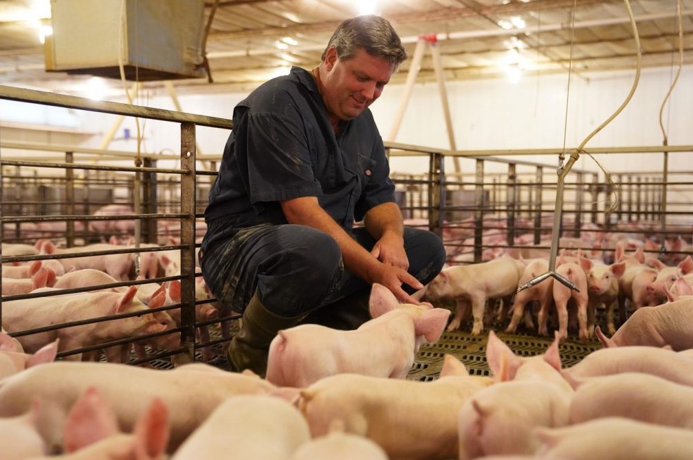 Pig Flooring Systems 101 ─ An Introduction to Different Types of Pig ...