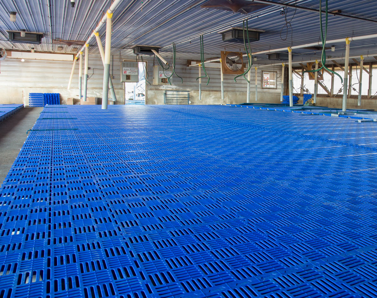 Pig Flooring Systems 101 ─ An Introduction to Different Types of Pig ...