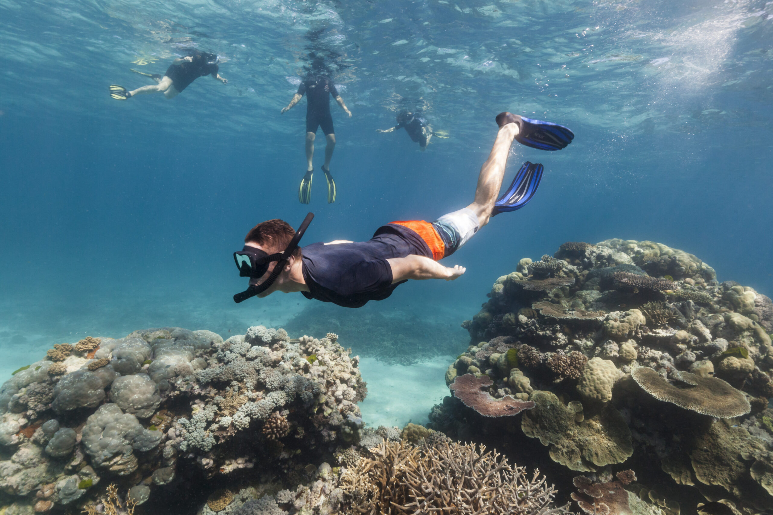 Submerged Wonders: Why Diving and Snorkeling Should Be On Your Bucket ...