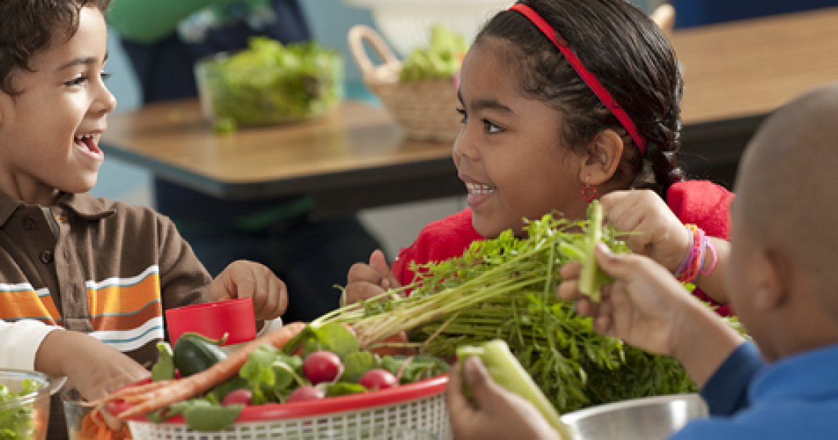 How to Implement Healthy Habits in School Environments - PMCAOnline