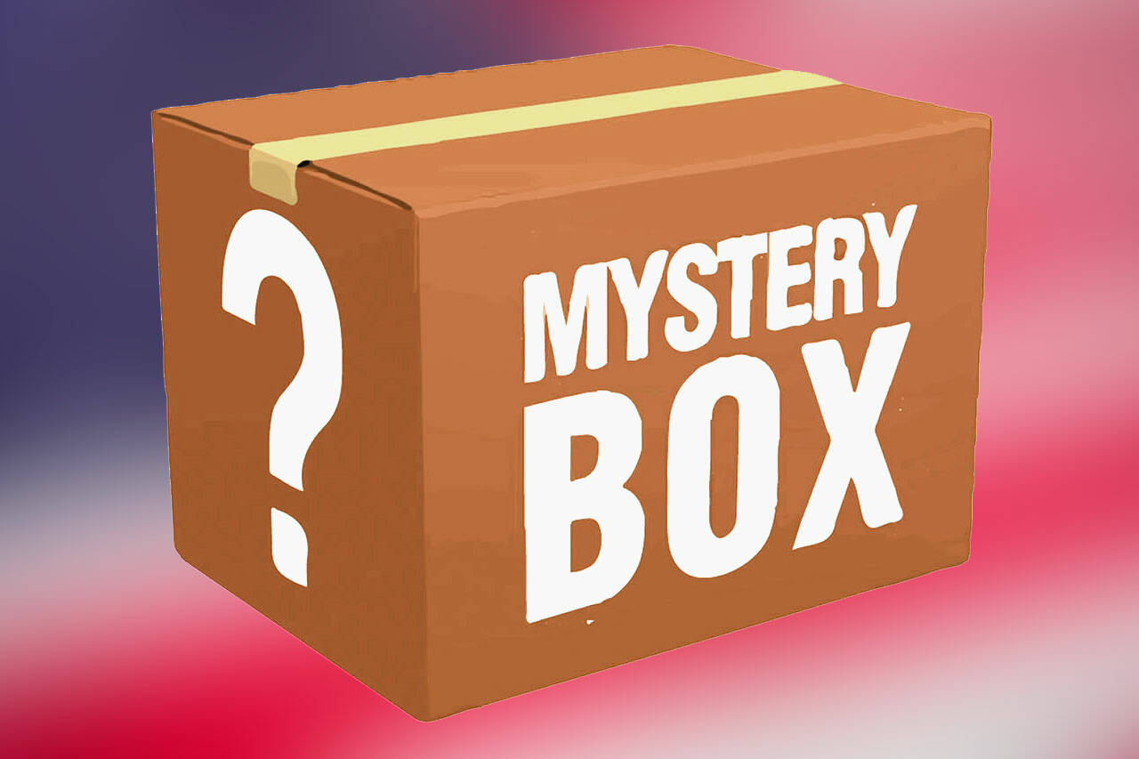 Demystifying Mystery Boxes ─ Are They Really Fair for Everyone - 2024 Guide - PMCAOnline
