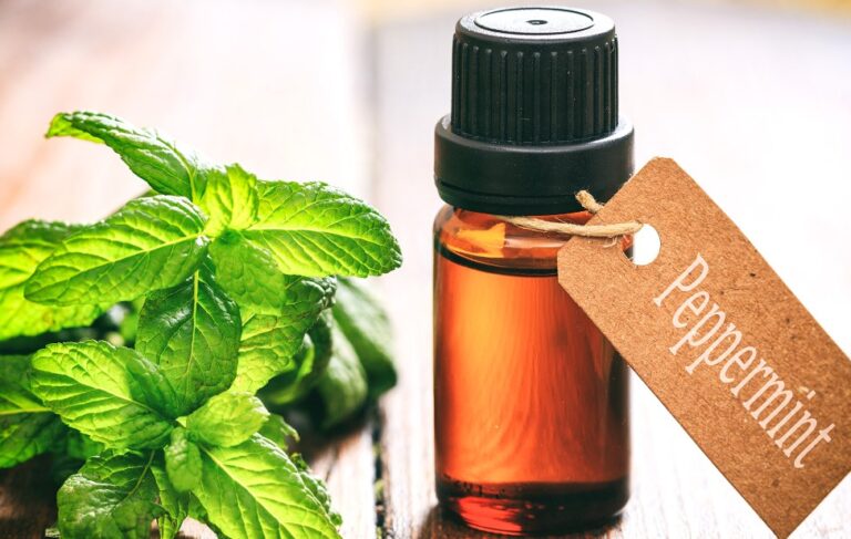 Natural Cleaning and Freshening Solutions with Peppermint Oil in Your ...