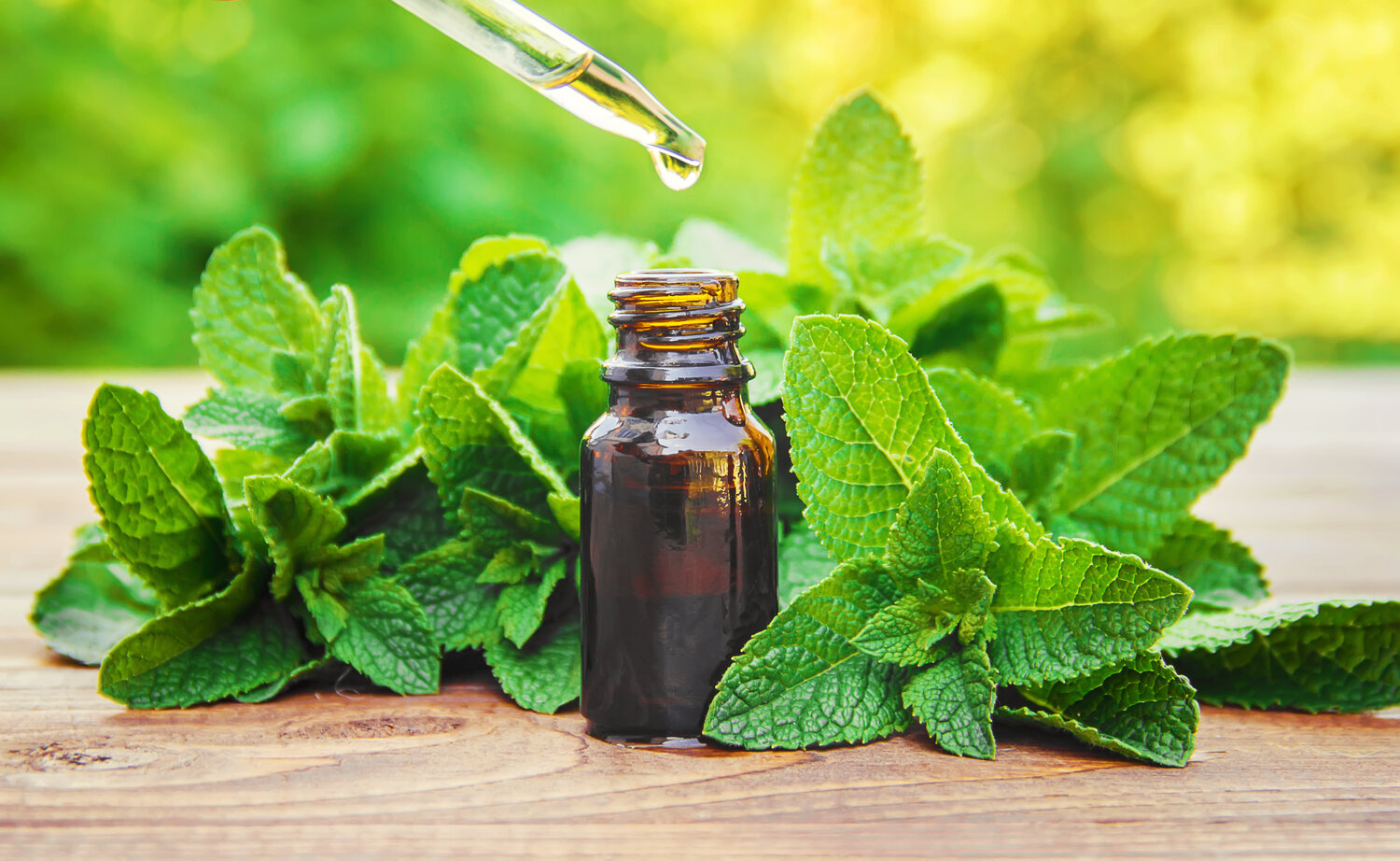 Natural Cleaning and Freshening Solutions with Peppermint Oil in Your ...